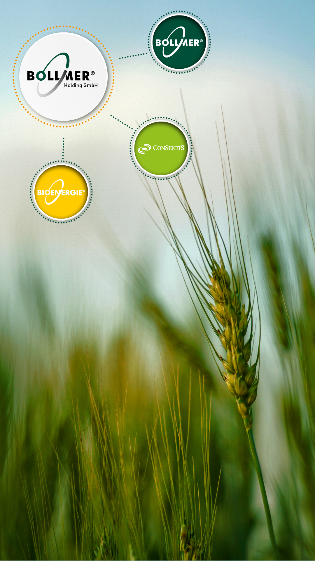 Wallpaper – Bollmer Unternehmensgruppe